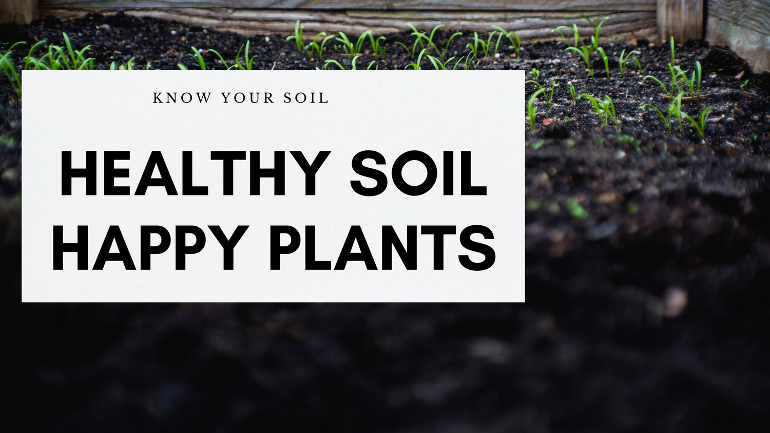 Unlocking the Secrets of Lush Gardens: The Vital Role of Soil Quality ...